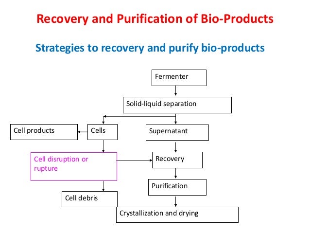 Recovery and purification of intracellular and extra cellular products ...