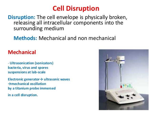 Recovery and purification of intracellular and extra cellular products ...