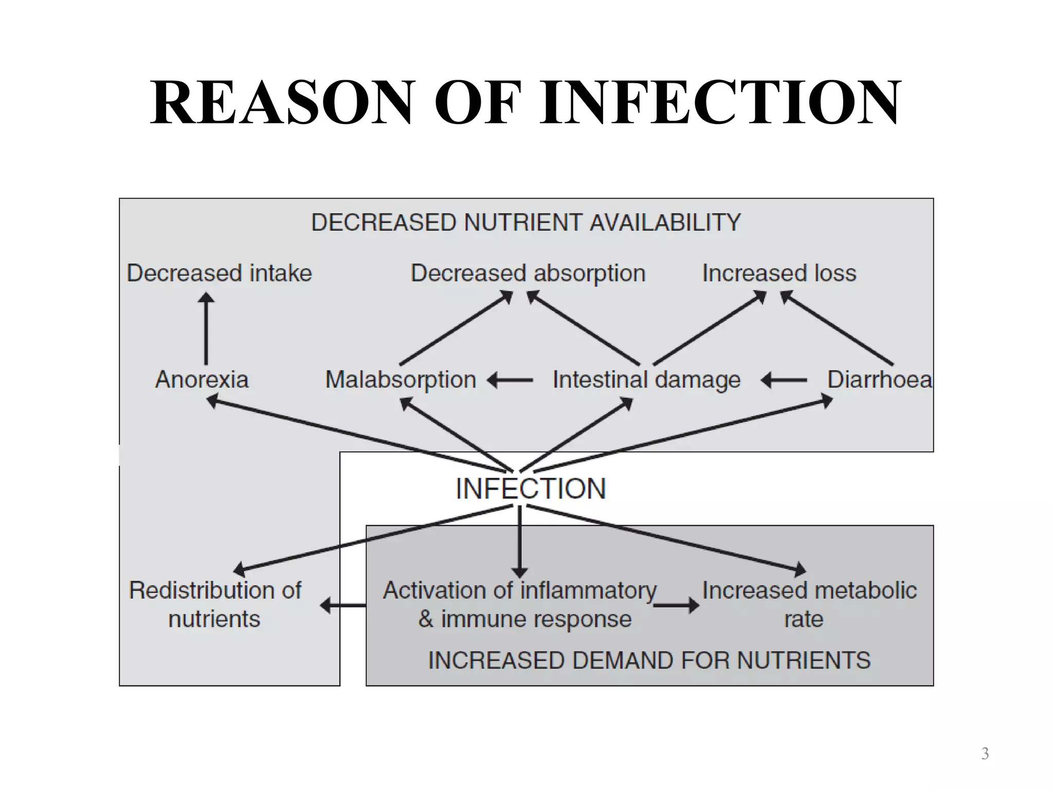 Recovery from bacterial infections | PPT