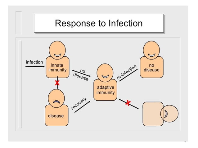 Recovery from bacterial infections | PPT