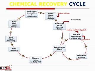 Chemical Recovery Island file presentation.pptx