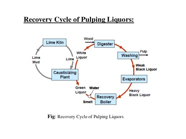 Recovery of pulping liquors
