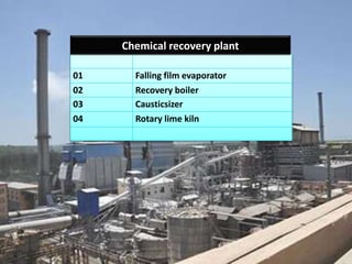 Recovery presentation seminar topics .pptx