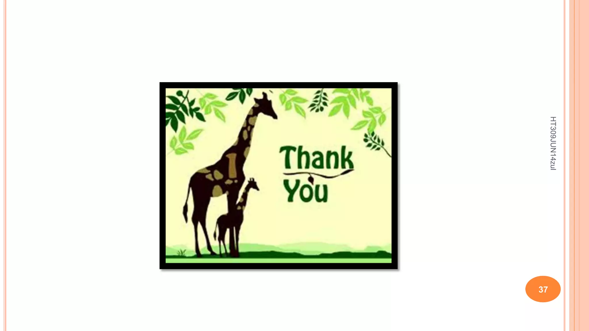 Recreational safety and risk management plan | PPTX