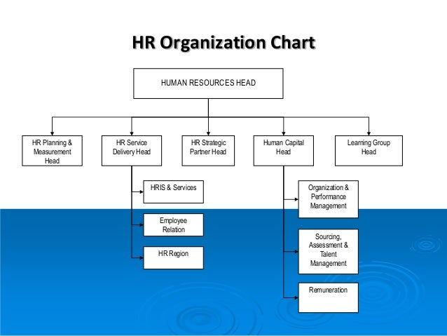 Human Resources Structure Chart