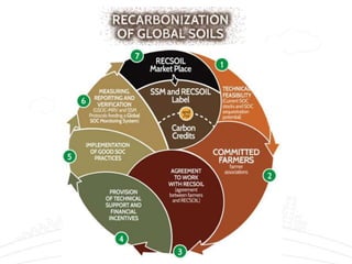 Unlocking the potential of soil organic carbon: RECSOIL, a response for ...
