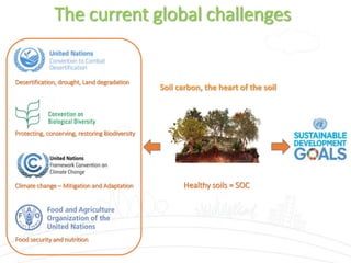 Unlocking the potential of soil organic carbon: RECSOIL, a response for ...