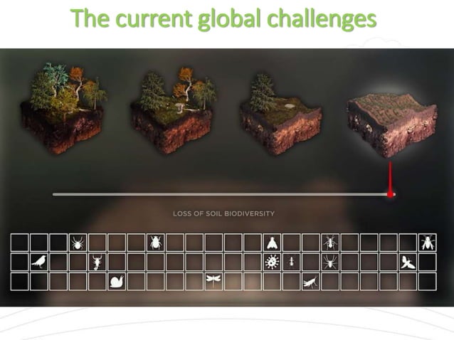 Unlocking the potential of Soil Organic Carbon: RECSOIL, a response for ...