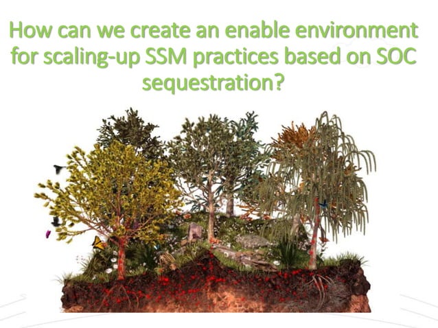 Unlocking the potential of Soil Organic Carbon: RECSOIL, a response for ...