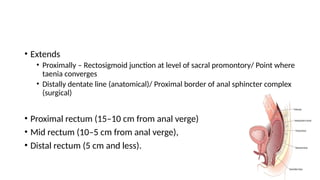 Management of colorectal carcinoma .pptx