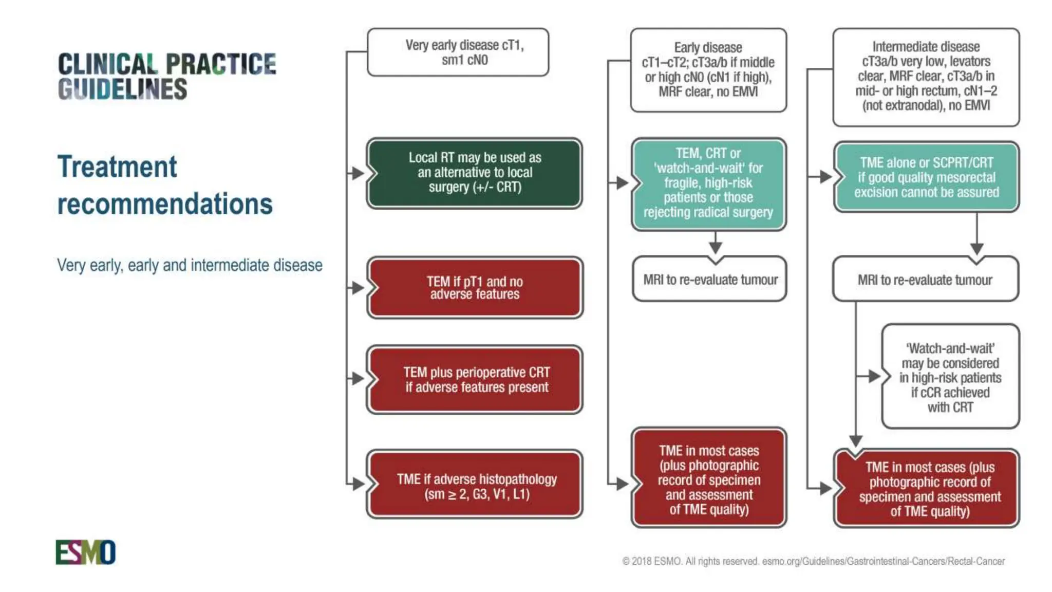 Rectal Cancer 2024 Management Guidelines Pptx