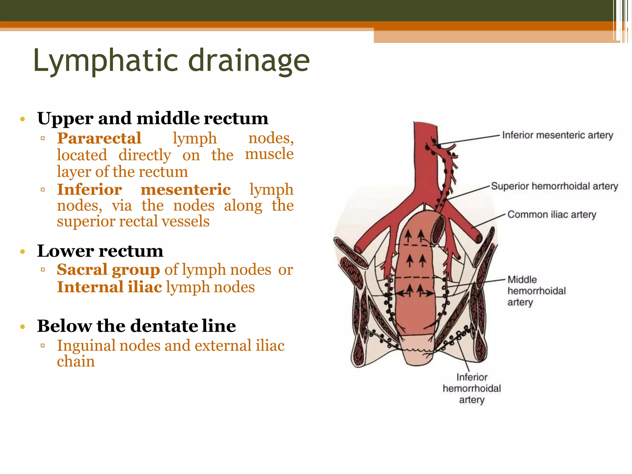 Rectal cancer alex | PPTX