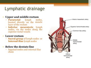 Rectal cancer alex | PPTX