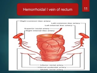Rectal Drug Delivery Systems | PPTX