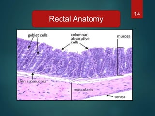 Rectal Drug Delivery Systems | PPTX
