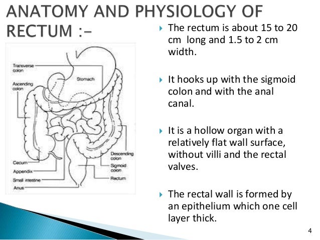 Rectal Drug Delivery System