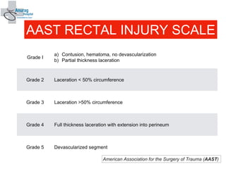 Rectal injury | PPT