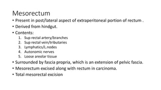 Rectal prolapse | PDF