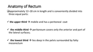 Rectal prolapse (Surgical anatomy of rectum, pathology and management0 ...