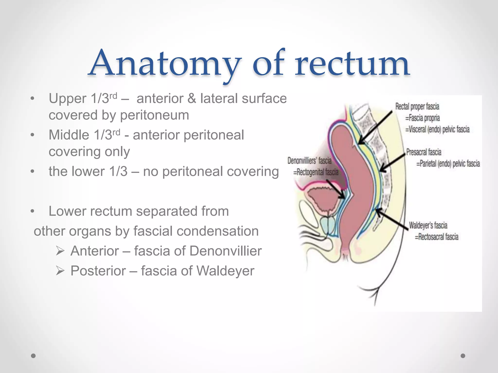 Rectal prolapse (D1) | PPTX