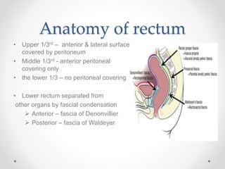 Rectal prolapse (D1) | PPTX