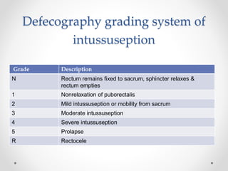 Rectal prolapse (D1) | PPT