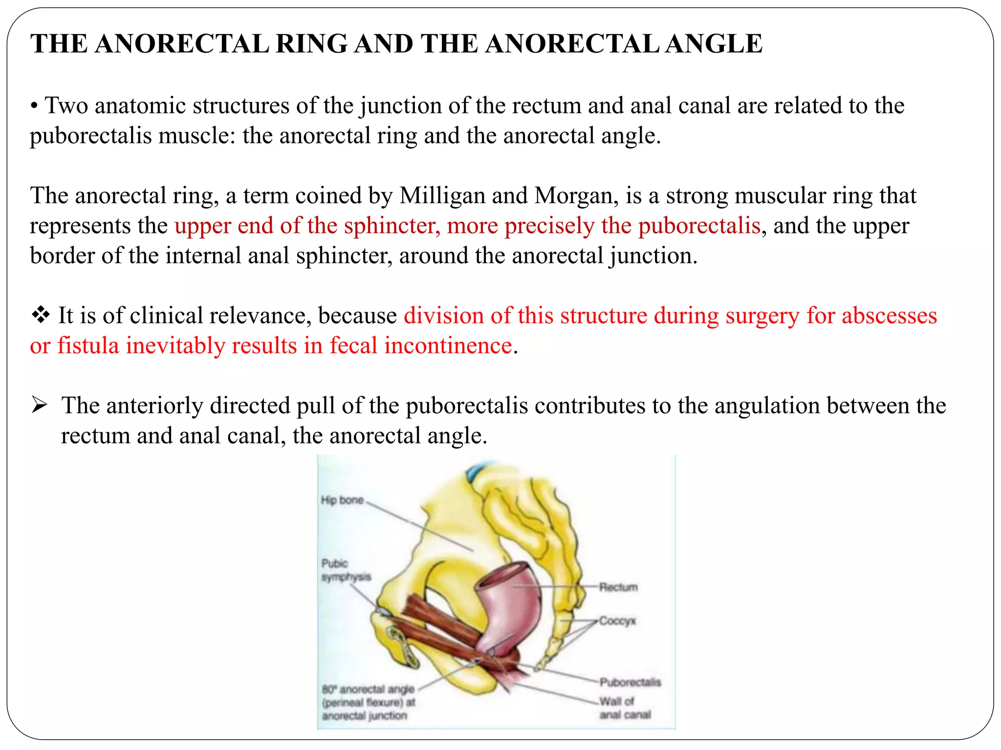 Rectal Prolapse | PPTX