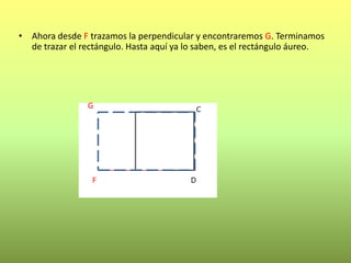Rectángulo áureo espiral logarítmica | PPSX