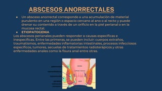 RECTO (1).pptx