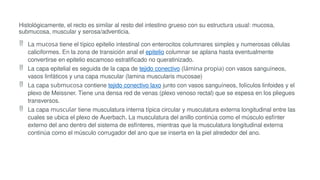 RECTO, CONDUCTO ANAL Y ANO, presentacion | PPTX