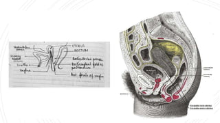 Rectouterine Pouch.pptx