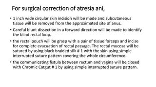 Rectovaginal fistula and correction.pptx