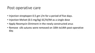 Rectovaginal fistula and correction.pptx