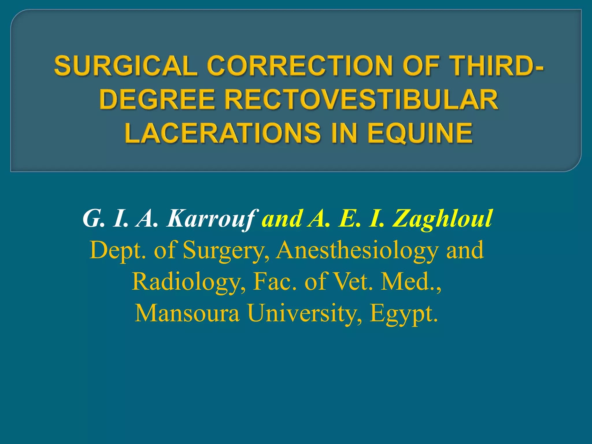 Third-degree Rectovestibular Lacerations in mares and mare donkeys | PPT