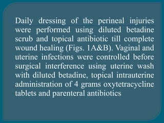 Third-degree Rectovestibular Lacerations in mares and mare donkeys | PPT