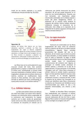 Anatomia Quirúrgica de Recto y Ano | PDF