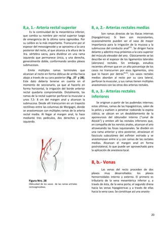 Anatomia Quirúrgica de Recto y Ano | PDF