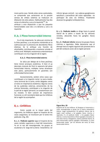 Anatomia Quirúrgica de Recto y Ano | PDF