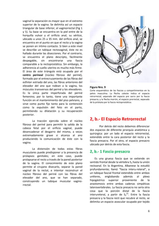 Anatomia Quirúrgica de Recto y Ano | PDF