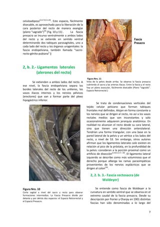 Anatomia Quirúrgica de Recto y Ano | PDF