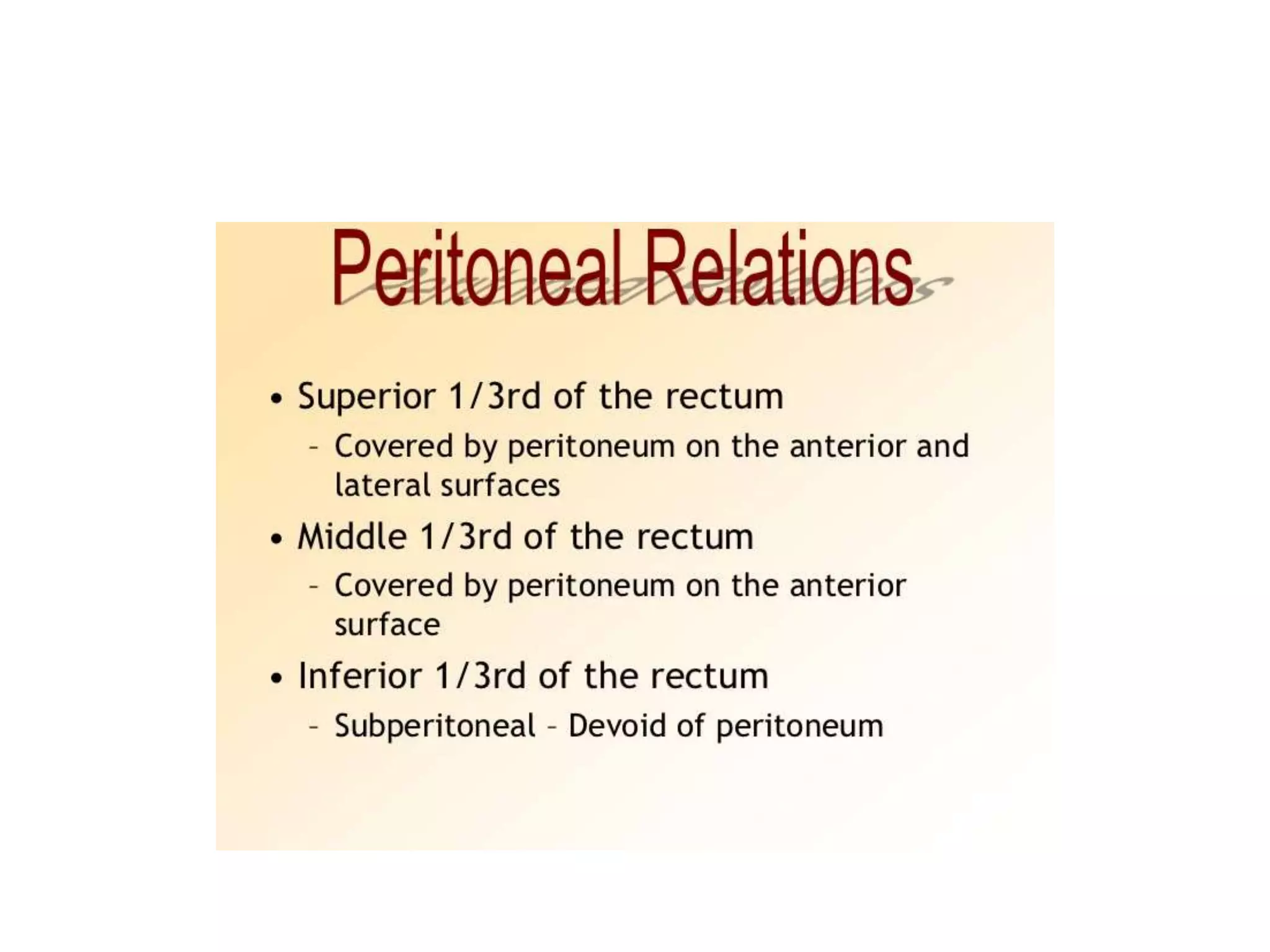 Rectum anatomy | PPTX