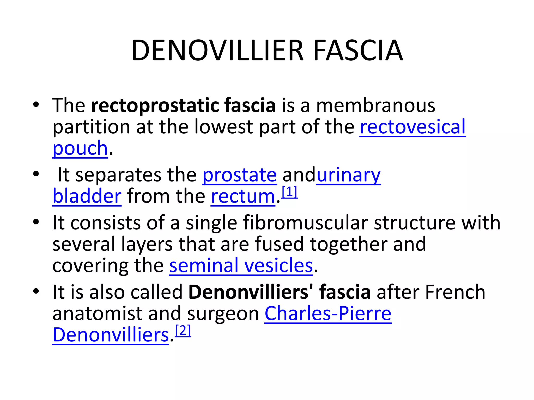 Rectum anatomy | PPTX