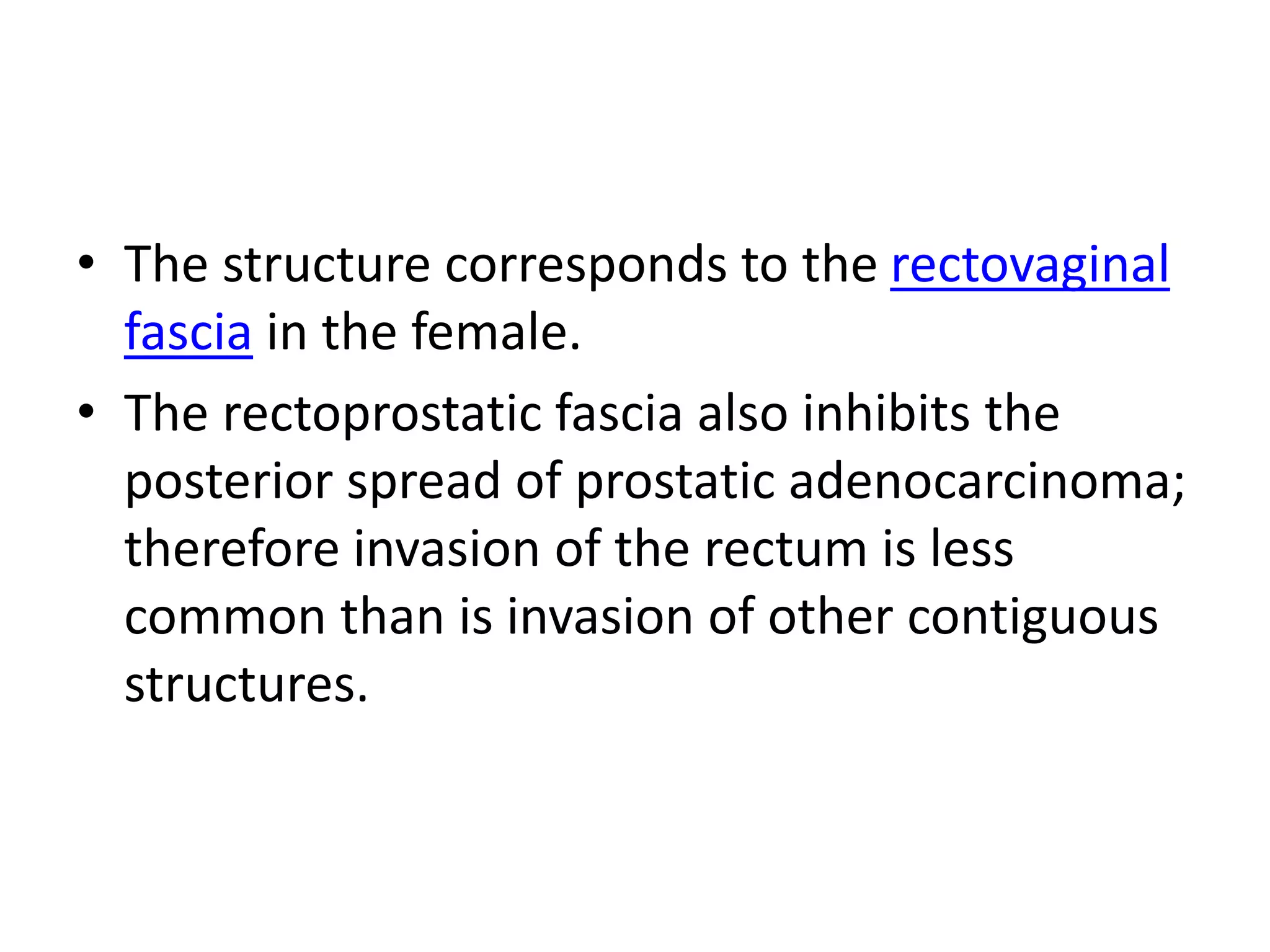 Rectum anatomy | PPTX