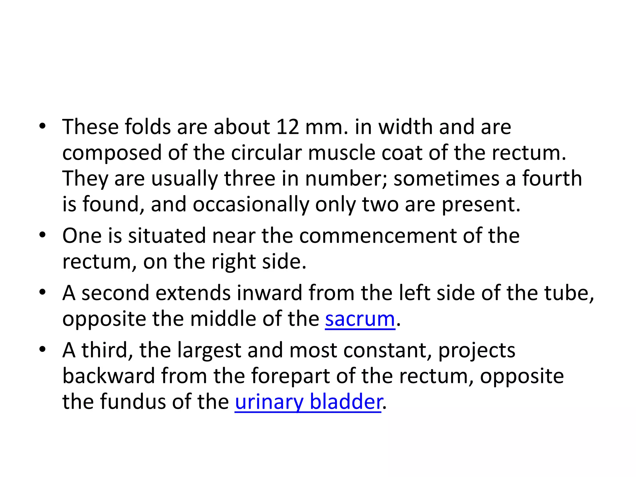 Rectum anatomy | PPTX