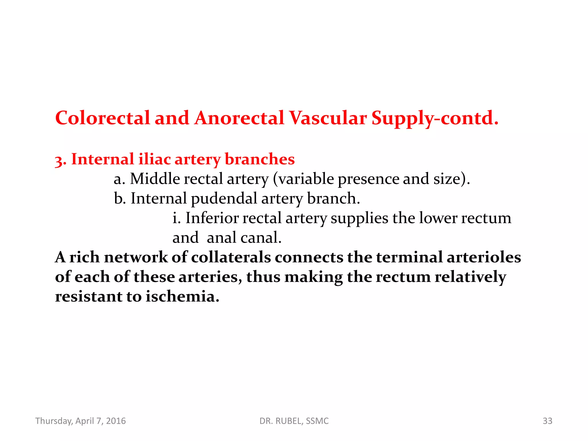 Rectum anatomy | PPTX