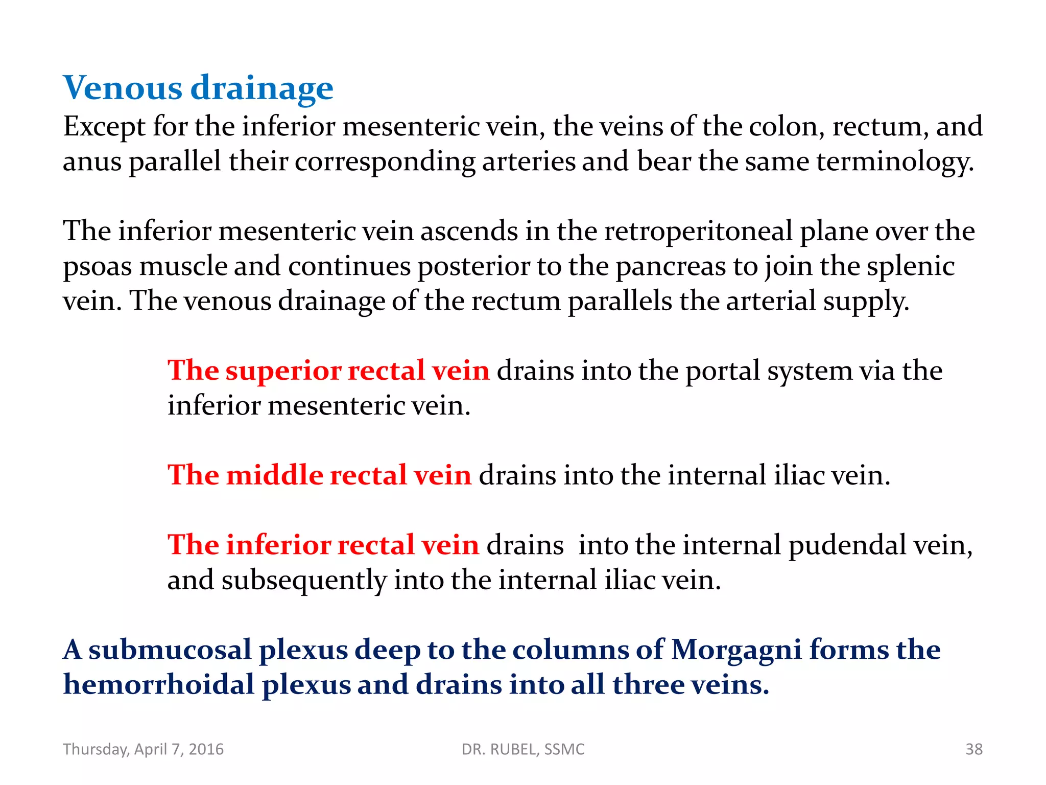 Rectum anatomy | PPTX