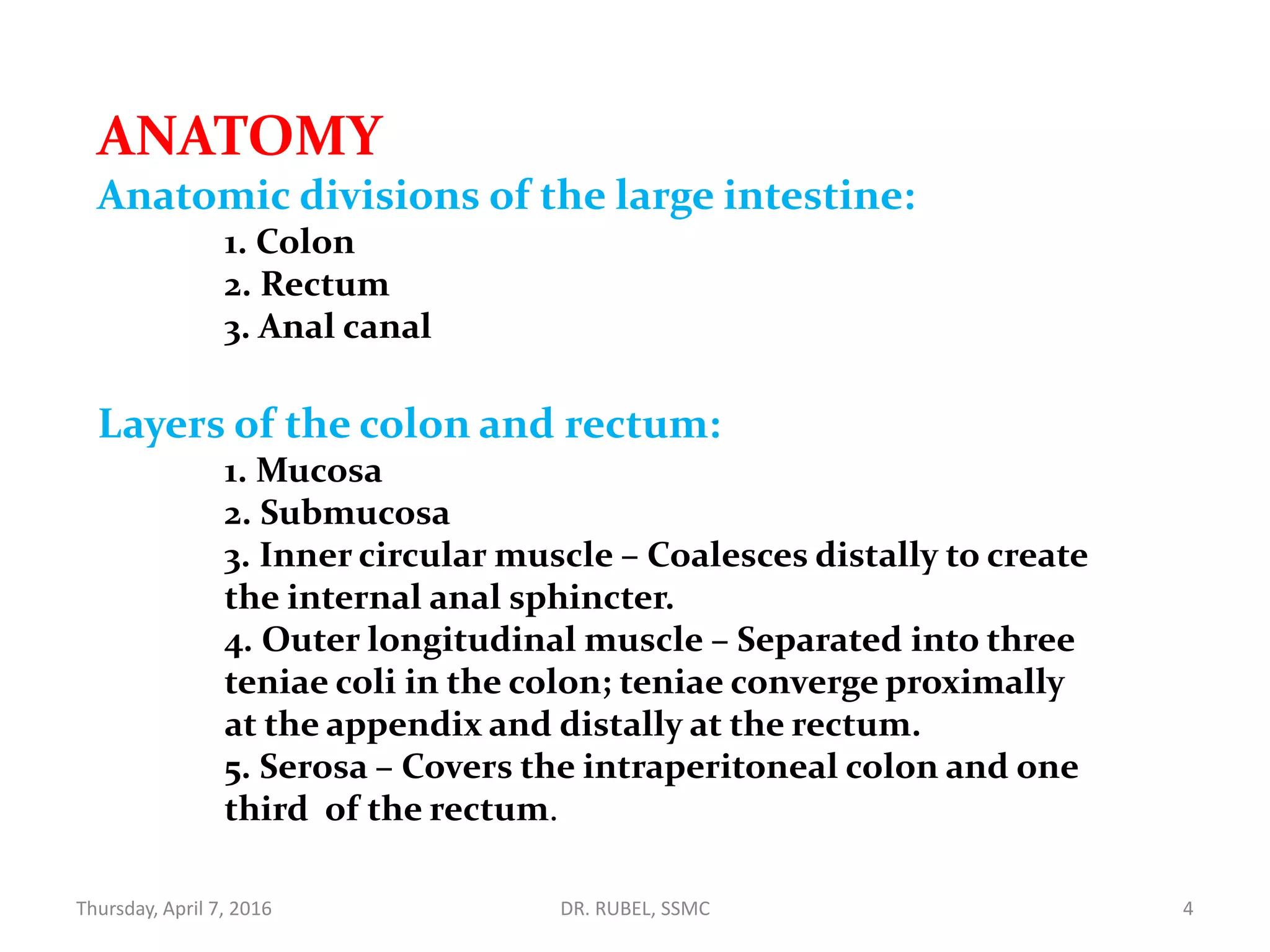 Rectum anatomy | PPTX
