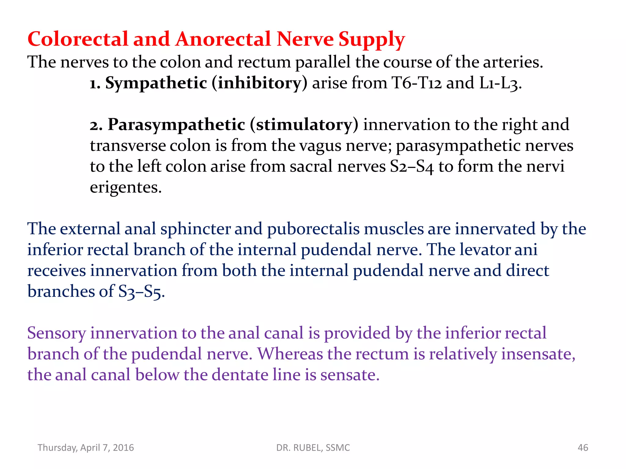 Rectum anatomy | PPTX
