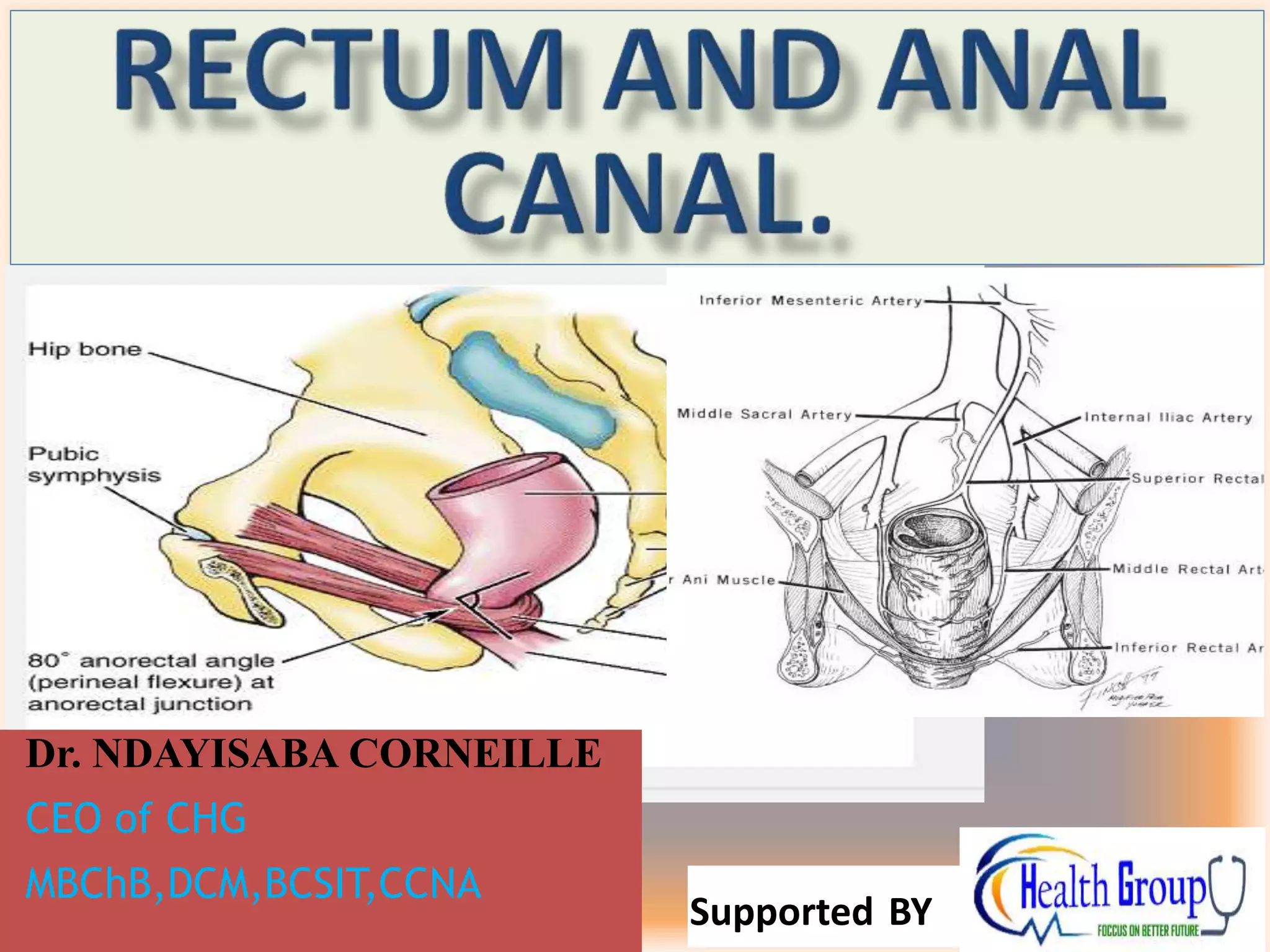 Rectum & Anal Canal.pptx