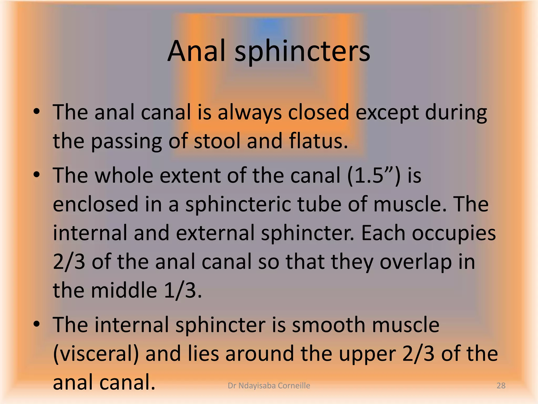 Rectum & Anal Canal.pptx